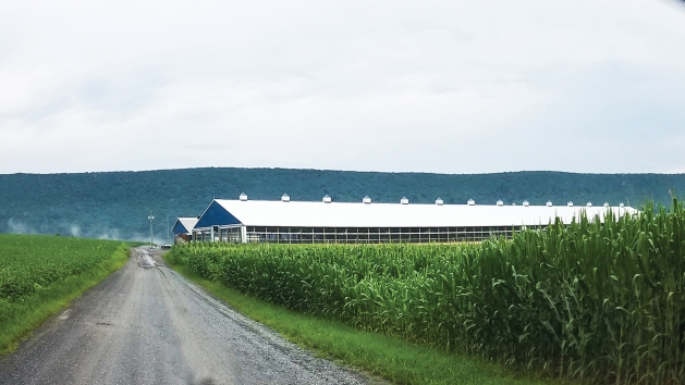 More than meets the eye at Dotterer’s Dairy – Profiles in comfort and ...