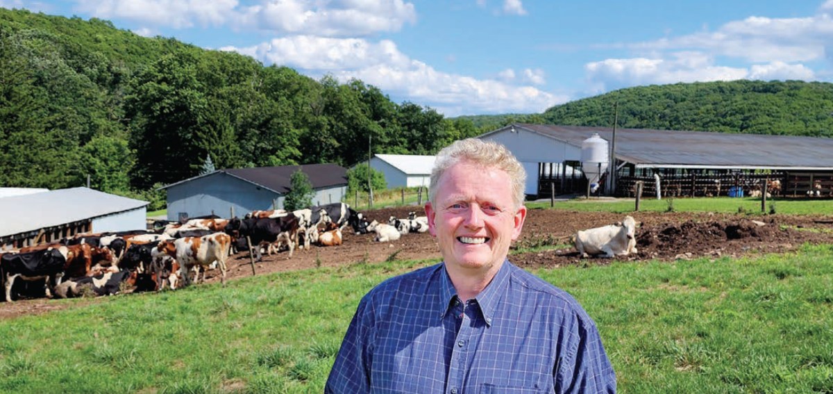 For the love of the amazing Holstein cow – Profiles in comfort and quality